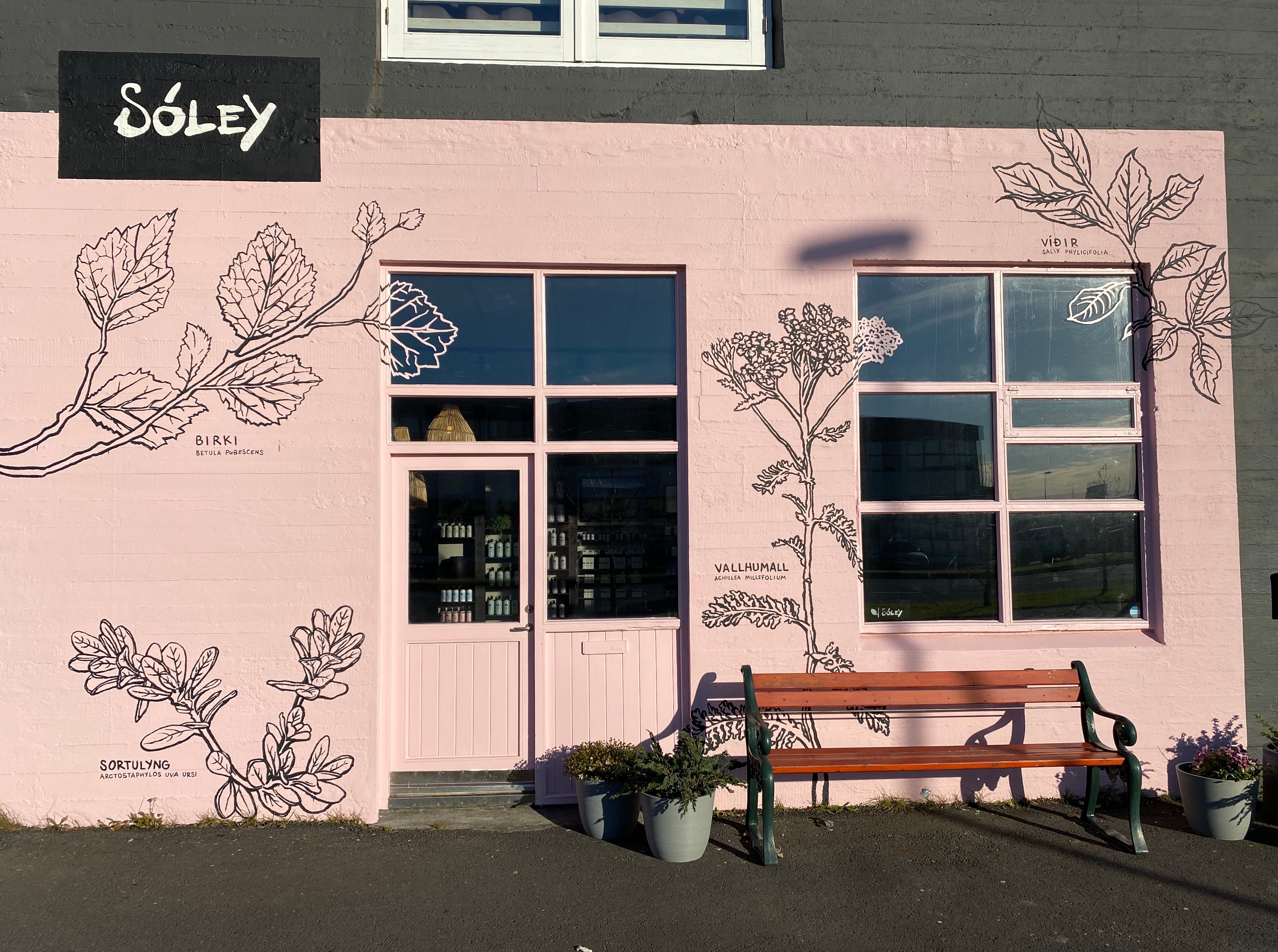 The Sóley Flagship Store at Grandi – Sóley Organics
